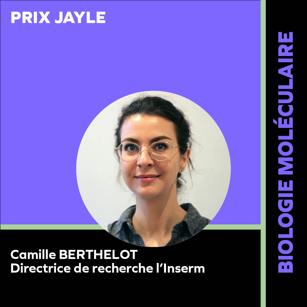 Lauréat 2024 du Prix Jayle - Camille Berthelot | Académie des sciences